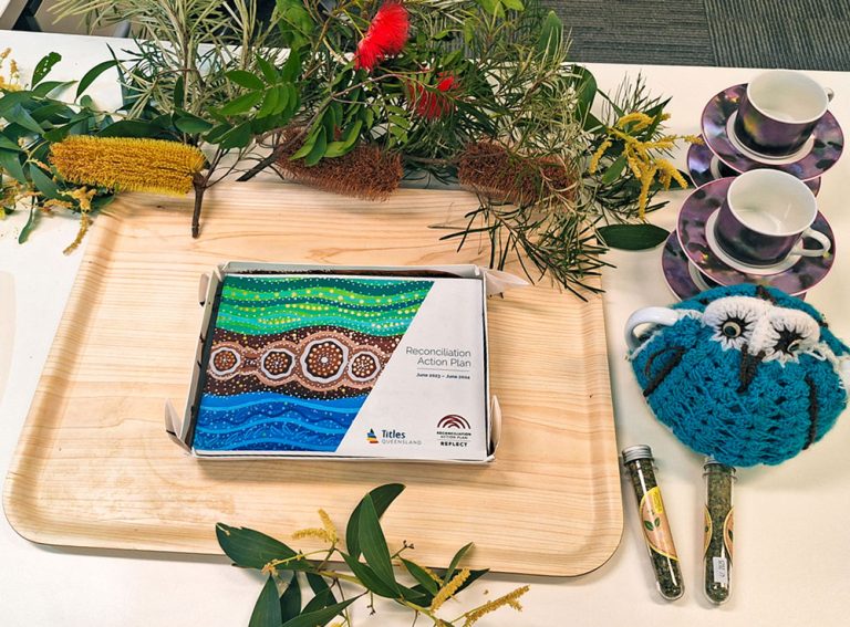 Our RAP Launch - Titles Queensland